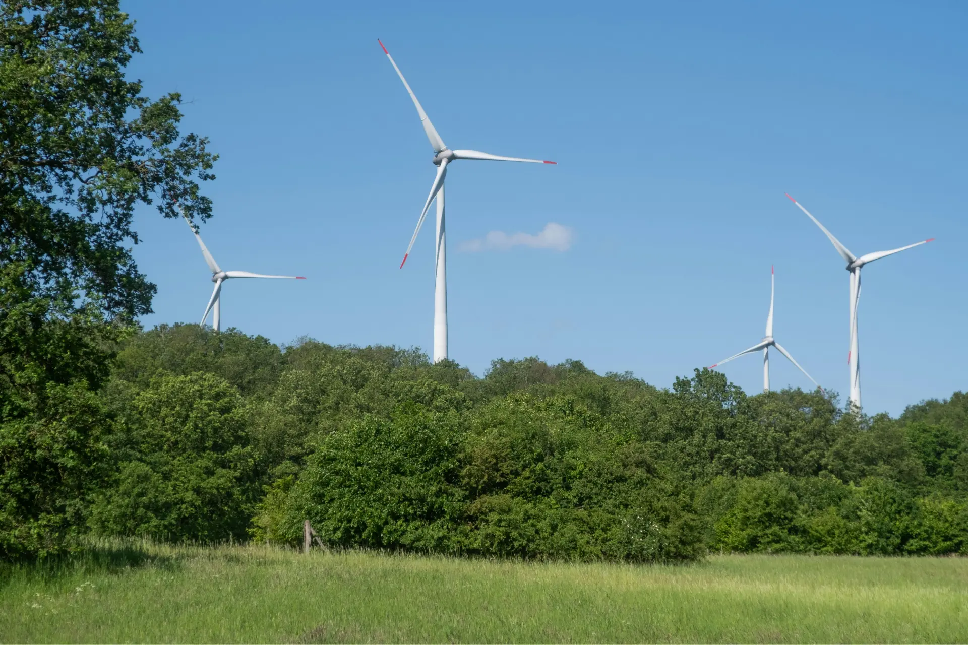 What Does A Renewable Energy Consultant Do? | Mint · Mint Selection